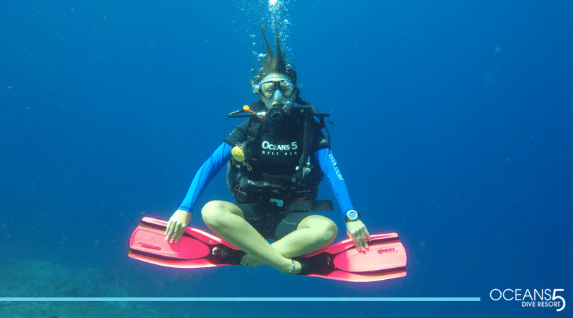 Spines, Stings, and Bites: How to avoid and treat common marine life ...