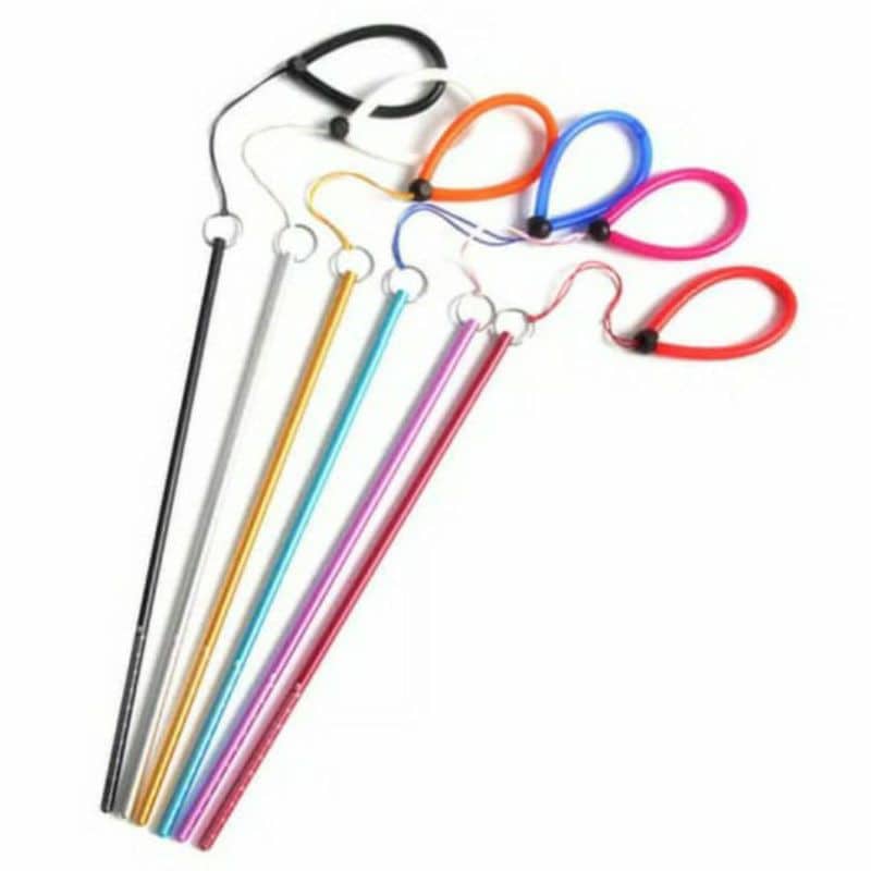 Diving with Pointer Sticks at Oceans 5 Gili Air