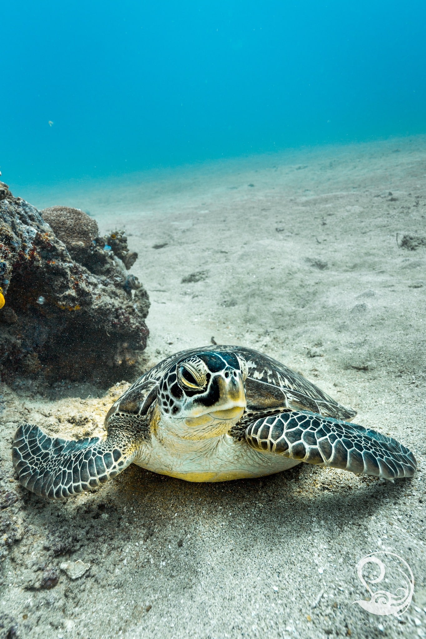 Marine Park Gili Matra in Indonesia